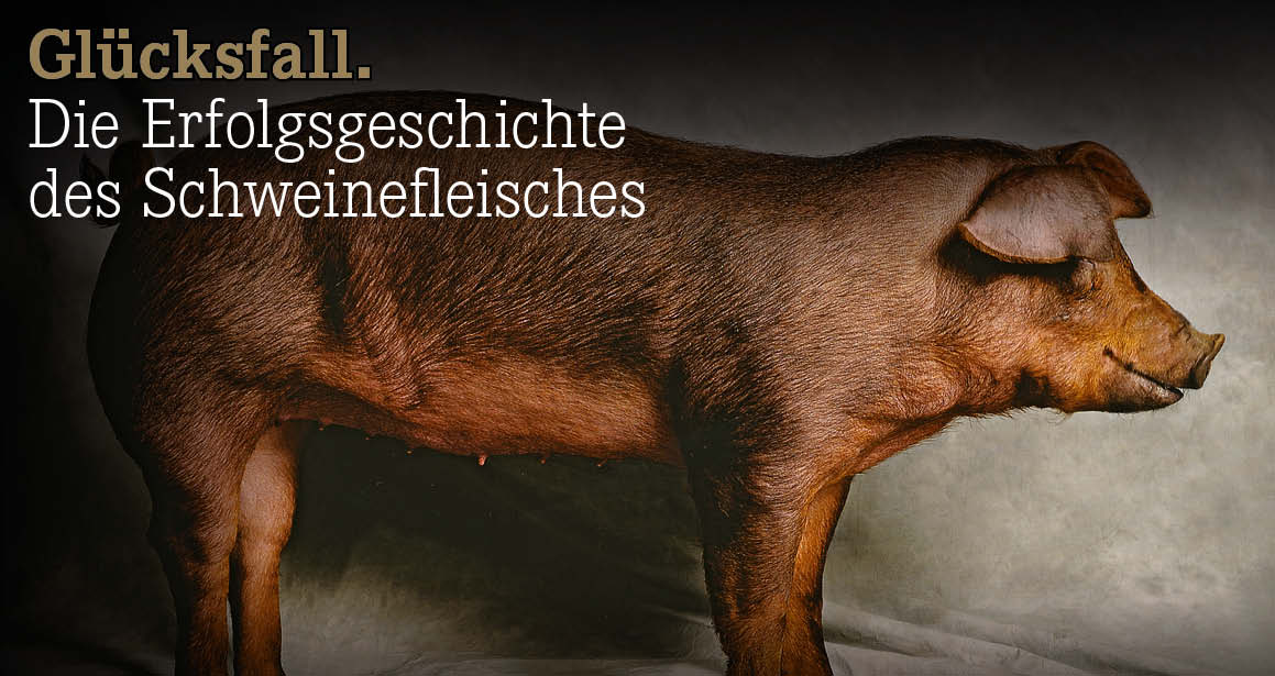 Gourmetfleisch von Rind, Schwein & Geflügel | ALBERS Food Shop