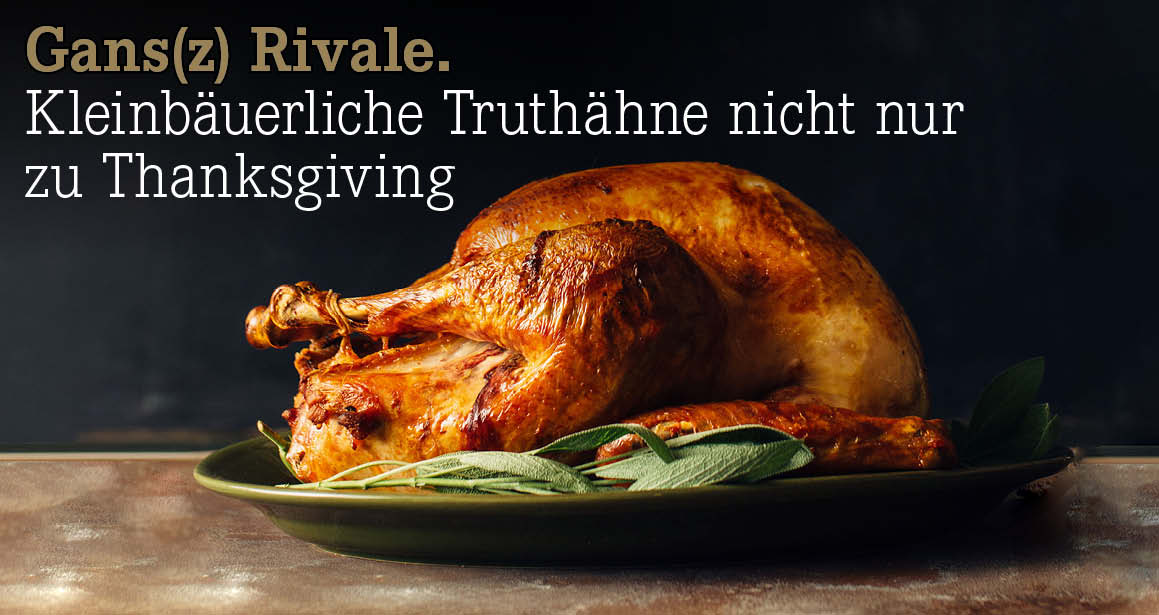 Gourmetfleisch von Rind, Schwein & Geflügel | ALBERS Food Shop